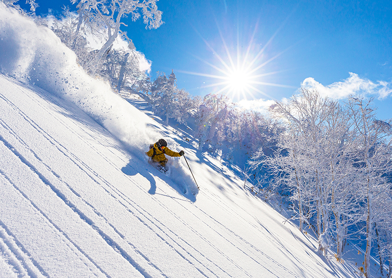 ENJOY! JAPOW HOKKAIDO