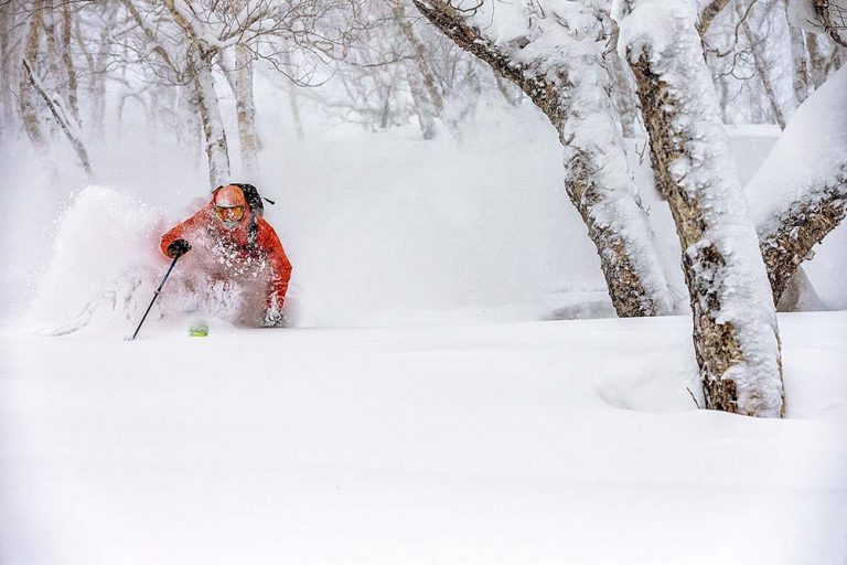 Why “JAPOW” - POWDER SNOW HOKKAIDO