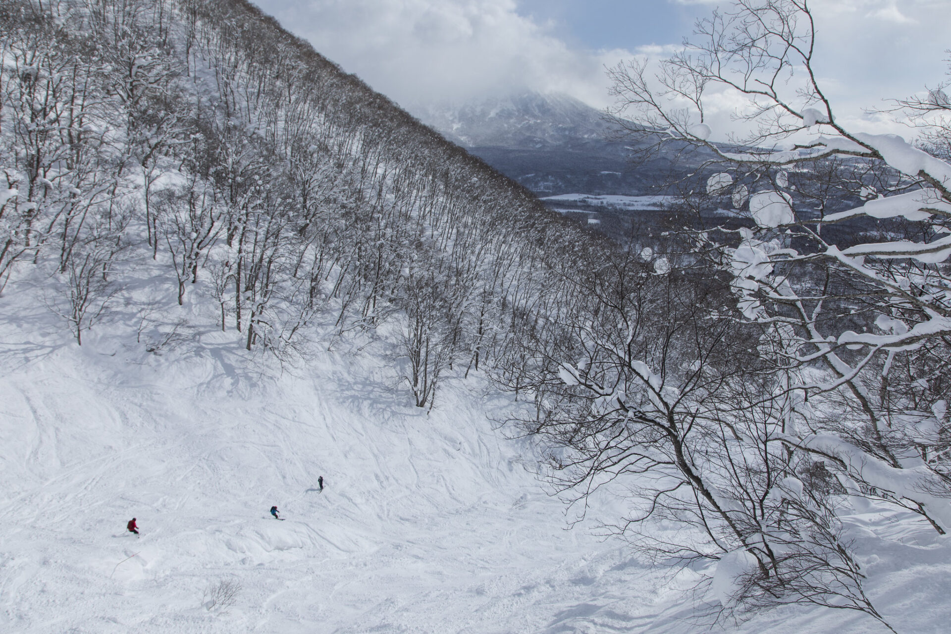 NISEKO VILLAGE - POWDER SNOW HOKKAIDO