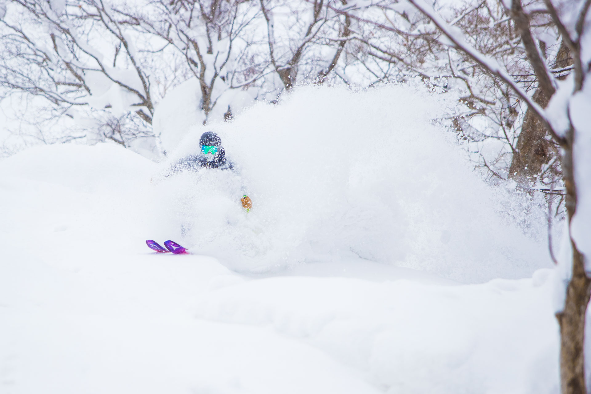 12 Reasons to go skiing in Niseko - POWDER SNOW HOKKAIDO