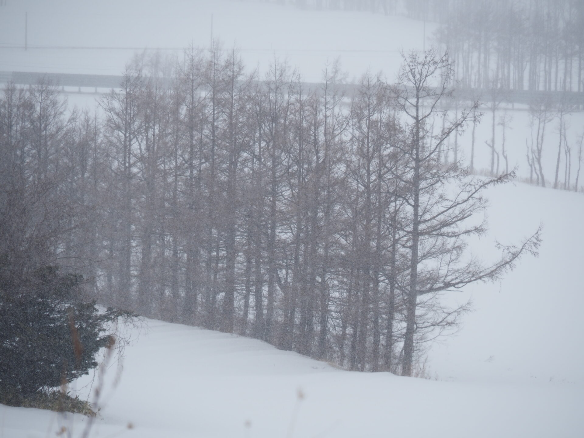 Meteorologist Mr. Mori explains ~ Why "good snow" falls in Hokkaido ...